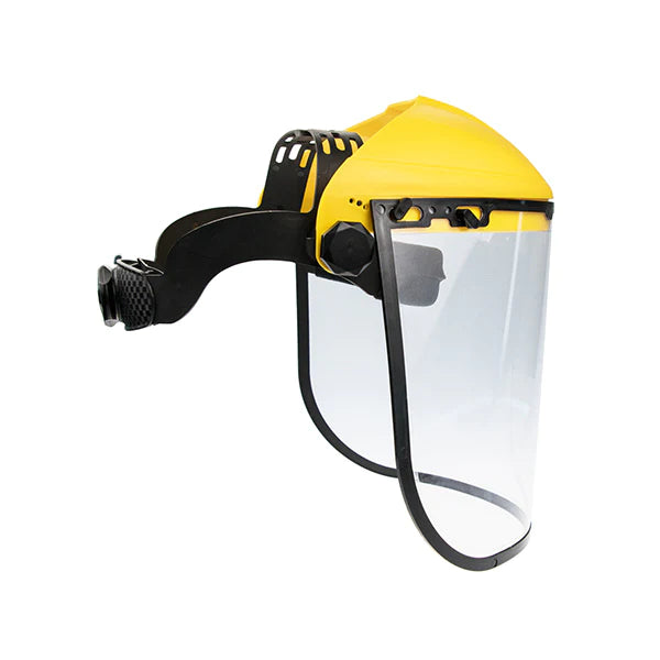 Face Protection – Alpha Inquiry Store